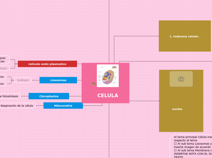 CELULA - Mind Map